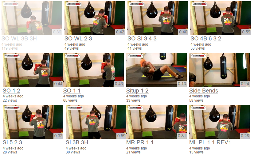 Self-Guided Boxing Skills Member - Commando Boxing